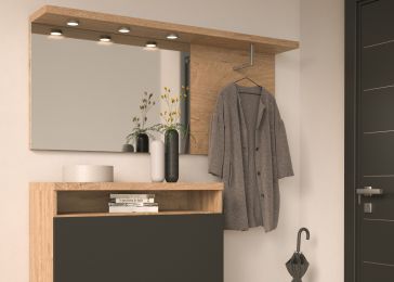 Klasična i moderna predsoblja, Prima namještaj